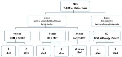 Summary Of Treatments And Survival Abbreviations Turbt Transurethral