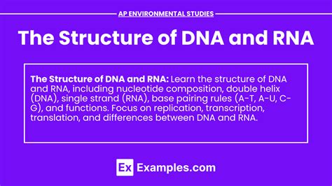 Unit 1 3 The Structure Of DNA And RNA Notes Practice Questions AP Biology