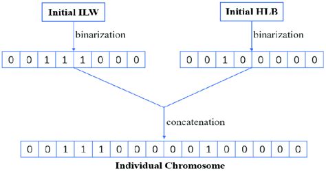 The Illustration Of The Encoding Process Download Scientific Diagram