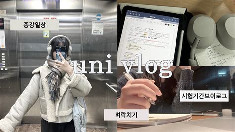 Vlog 12월이면 뭐하나 시험봐야지 ️ 휴학 전 마지막 시험기간 브이로그ㅣ대학생일상브이로그ㅣ기말고사브이로그ㅣ종강브이로그 Youtube