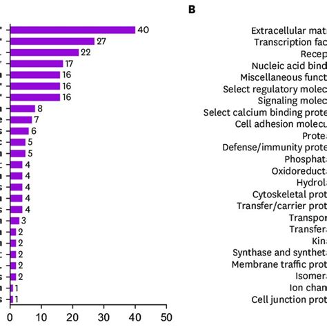 The Results Of Gene Set Enrichment Analysis Of Biological Processes A Download Scientific