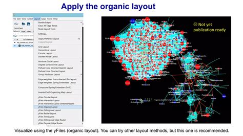 Metabolic Network Mapping Exericse Pptx