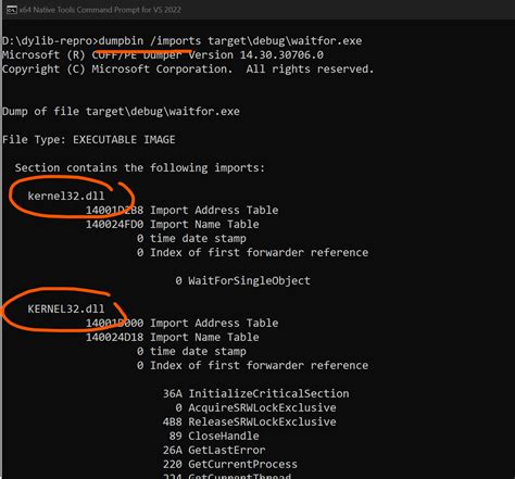 Proposal Emit DllImport Attribute W Lowercase Dllname Issue 648 Microsoft Win32metadata