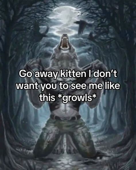 Alpha Memes Hilarious