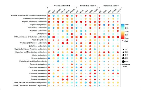 Msea Meta Analysis Meta Analysis Of Significant Pathways In