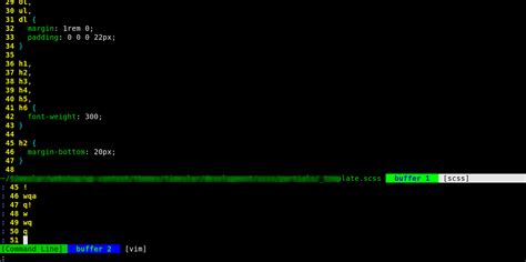 The Annoying Command History When Trying To Exit Vim By Julià