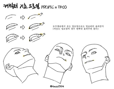 타코작가 On Twitter Anatomi