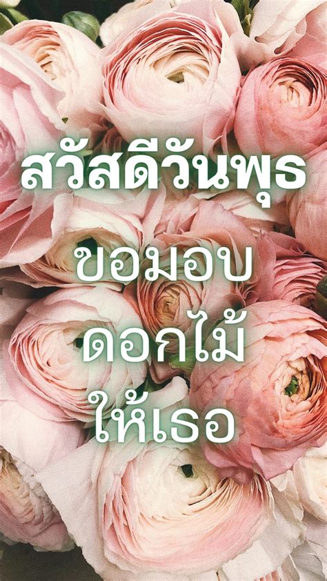 สวัสดีวันพุธ เซฟเก็บไว้ส่งให้คนที่รัก ดาวน์โหลดฟรี ไม่มีค่าใช้จ่าย