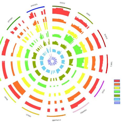 The Schematization For A Part Of Copy Number Variation Genes