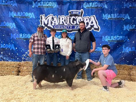 Dodds Show Pigs Maricopa County Fair 2024 Grand Champion Facebook