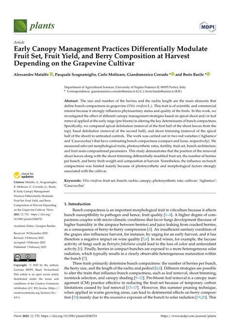 Pdf Early Canopy Management Practices Differentially Modulate Fruit