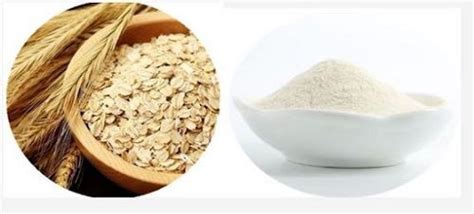 Extraction Process Of Oat Beta Glucan Powder Producer Shaanxi Huatai Bio Fine Chemical Coltd