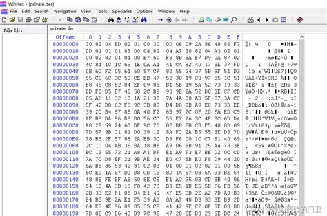 基于asn 1的rsa算法公私钥存储格式解读 c语言解析asn 1数据拿到公私秘钥 csdn博客