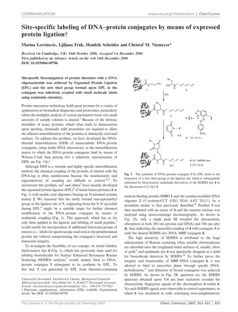Pdf Site Specific Labeling Of Dna Protein Conjugates By Means Of