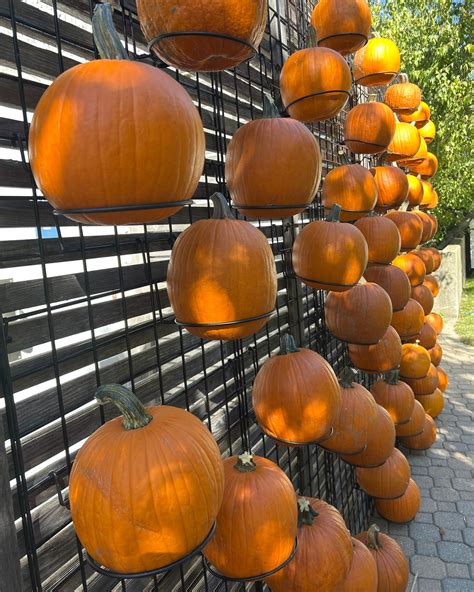 Foellinger Fre Foellinger Freimann Botanical Conservatory