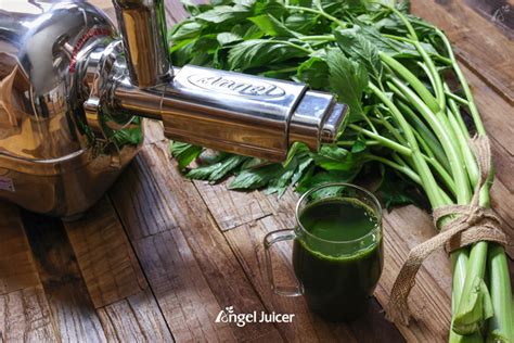 엔젤녹즙기 엔젤녹즙기과일채소효능 는 각종 비타민과 철분 칼슘 등의 미네랄이 아주