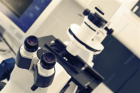Light Microscope Stock Image F0082043 Science Photo Library