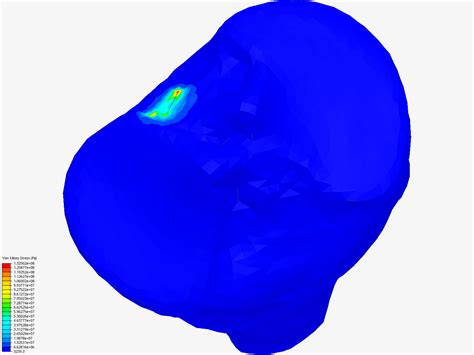 tibia by philnewman simscale