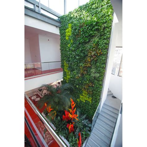 Купить модуль редкого полива для создания фитостены