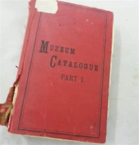 Paper Conservation Service At Rs 85sheet Amer Jaipur Id 26122156291