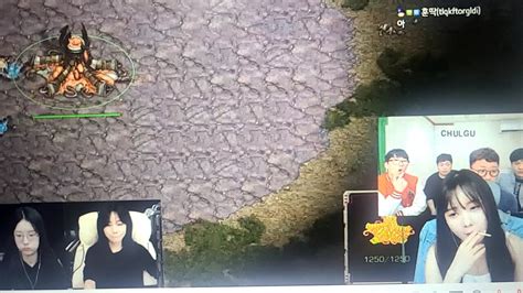 섹시여캠 ㅓㅜㅑ 스타크래프트 에펨코리아