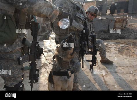 A U S Army Soldier Watches A K 9 Handler Share His Water With His Thirsty Furry Co Worker The