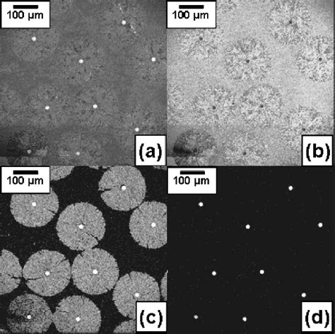 Figure 3 From In Situ Synthesis Of Superconducting Mgb2 Fibers Within A Magnesium Matrix