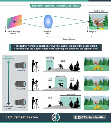 What Is Shallow Depth Of Field Definition And Examples In Photography And Film