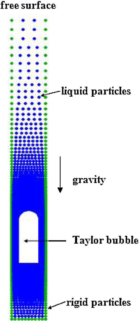 Calculation Domain With Initial Particle Configuration Download