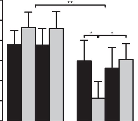The Reaction Times Of Correct Responses To Catch Trials As A Bar Plot