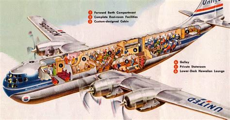 Seduced By The New Cross Section Illustration