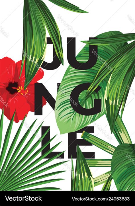 Jungle Poster Royalty Free Vector Image Vectorstock