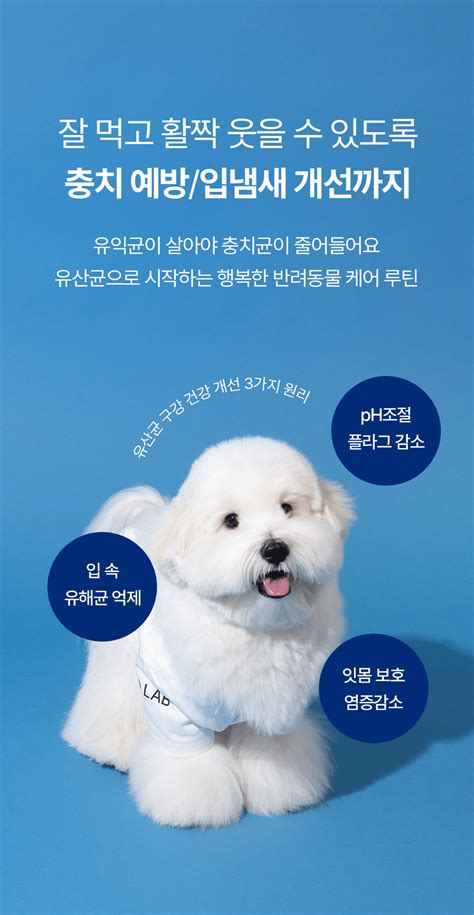 피오랩 프로바이오틱스 Piolab