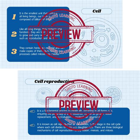 Unveiling Mitosis Poster Educational Cell Division Chart
