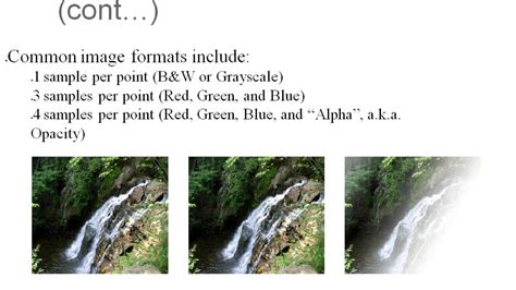 Image Classification Youtube