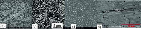 Sem Images Showing Characteristic Microstructures Of The Slmed Samples Download Scientific