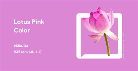 lotus pink color hex code is db87d4 color palette pink hex color