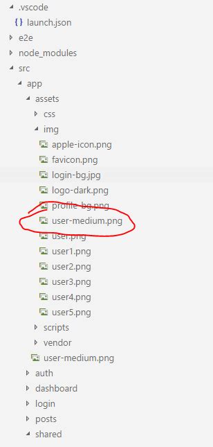 Html Relative Path Of Image Not Working In Angular Cli Stack Overflow