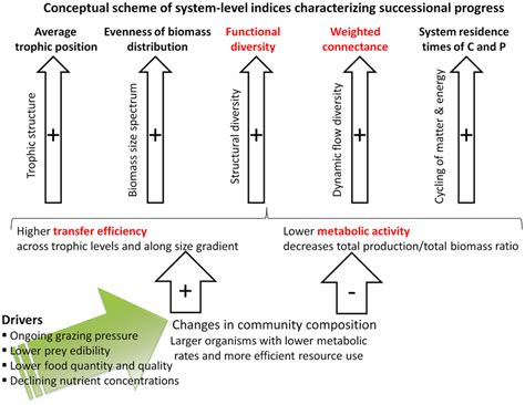 Conceptual Scheme Linking Indices Of Successional Progress Several