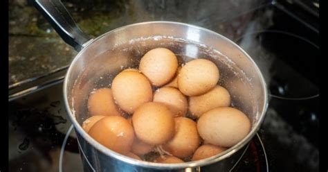 Ето какво да направите докато варите яйцата за да не се пукне нито едно За Жената