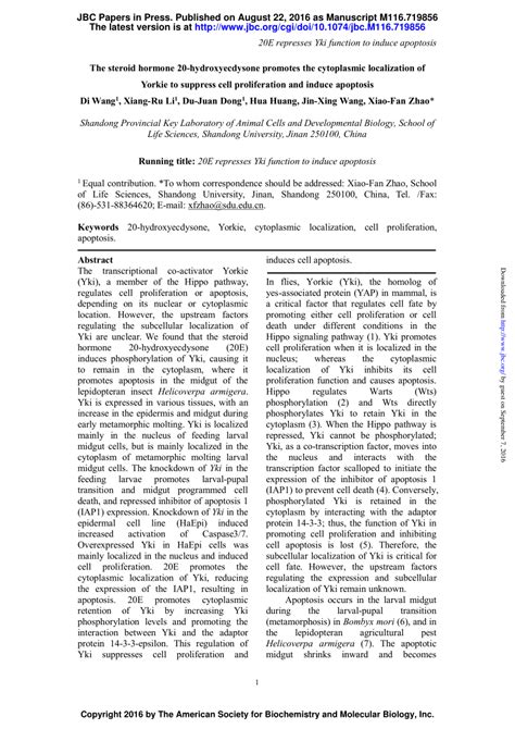 Pdf The Steroid Hormone 20 Hydroxyecdysone Promotes The Cytoplasmic Localization Of Yorkie To