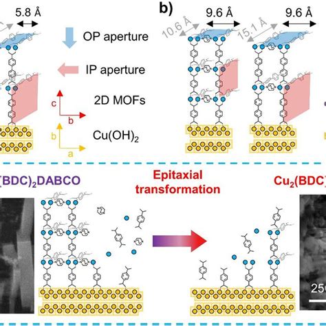 Schematic Of Heteroepitaxially Grown A 2d Mofs Cu2 Bdc 2 Download Scientific Diagram