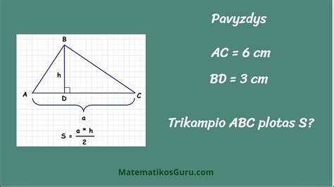 Trikampio Plotas Skaičiavimas Pavyzdys Matematikos Guru