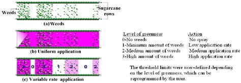 Figure 2 From Development Of A Real Time Variable Rate Herbicide Applicator Using Machine