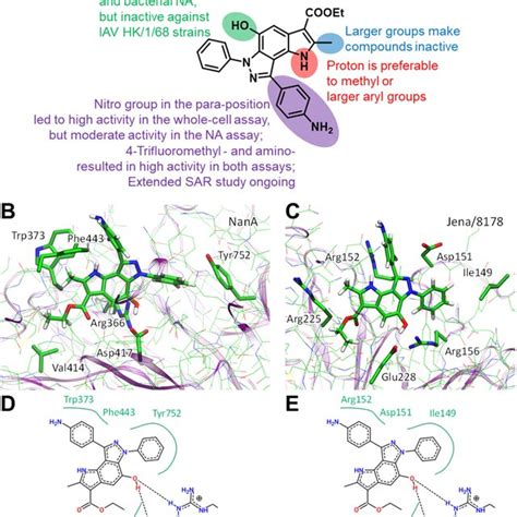 Preliminary Sar Results A Predicted Binding Modes B And C 3d