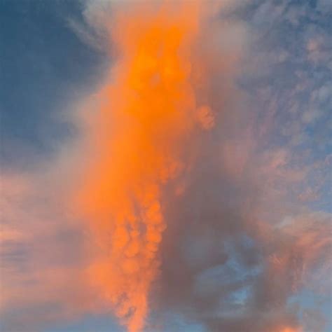 Cockroach Music Sister Soundcloud Test Lyrics Genius Lyrics