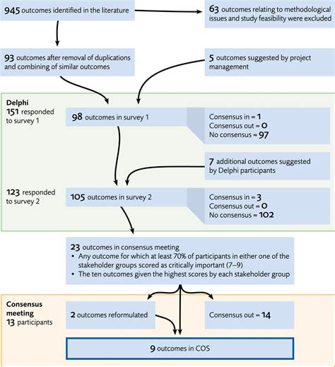 Flow Chart Of The Different Steps In The Development Of The Core