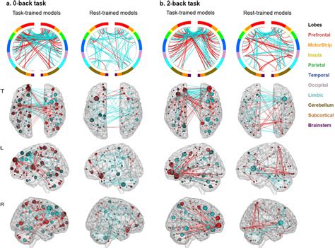 Brain Regions And Functional Connections Predicting Wm D Prime In 10