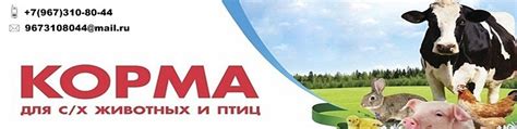 Продажа кормов для с х животных в России Продажа кормов для с х животных в России Корма для с