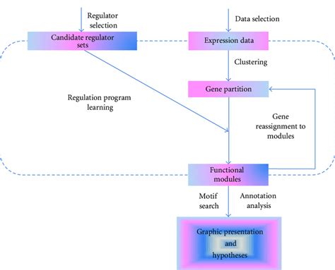 Workflow Of The Algorithm By Segal Et Al This Is An Iterative